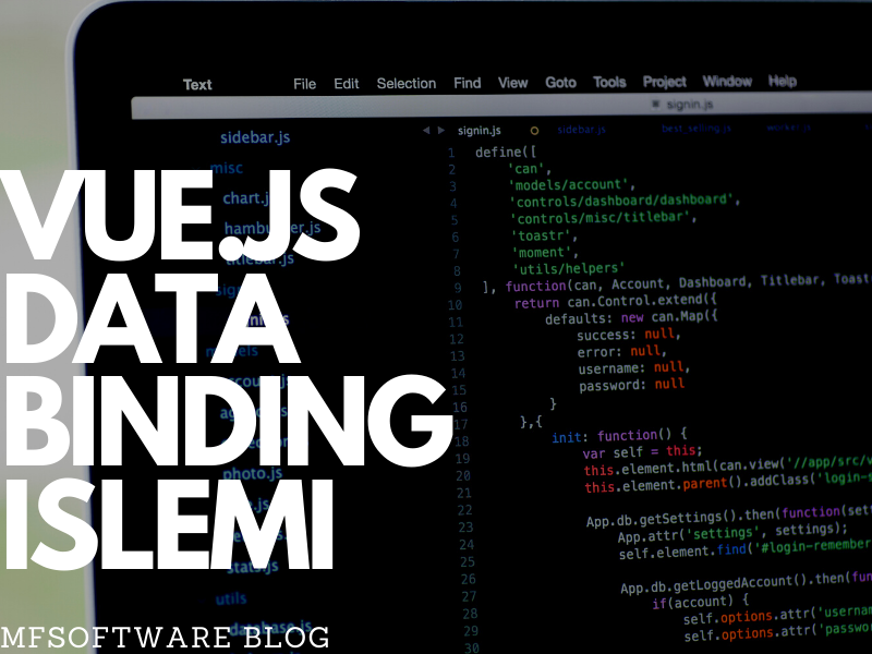 Vue js Data Binding lemi MFSoftware Blog